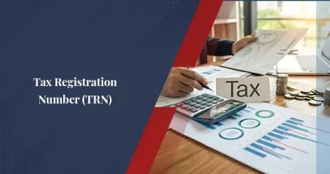 Tax Registration Number (TRN) in UAE: All You Need to Know